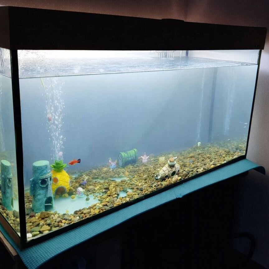 Аквариум на 240 литров