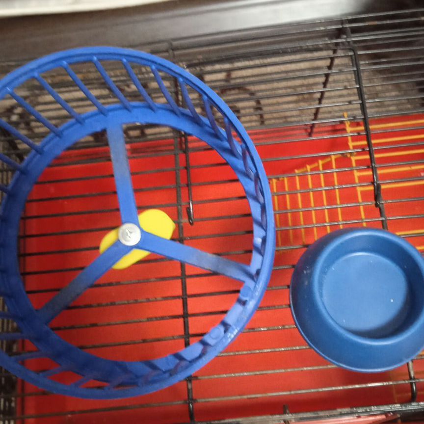 Продам клетку для хомячка