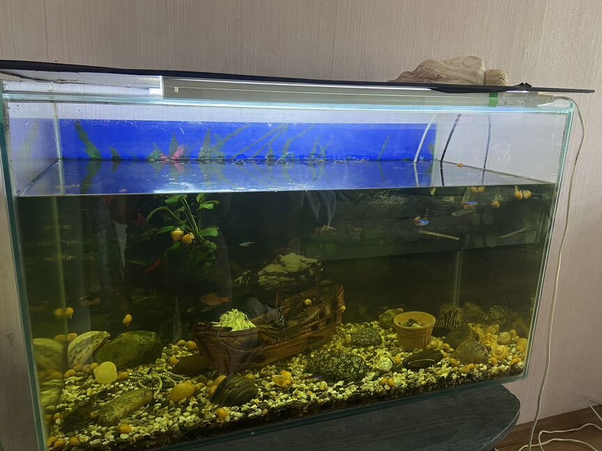 Аквариум 140 литров