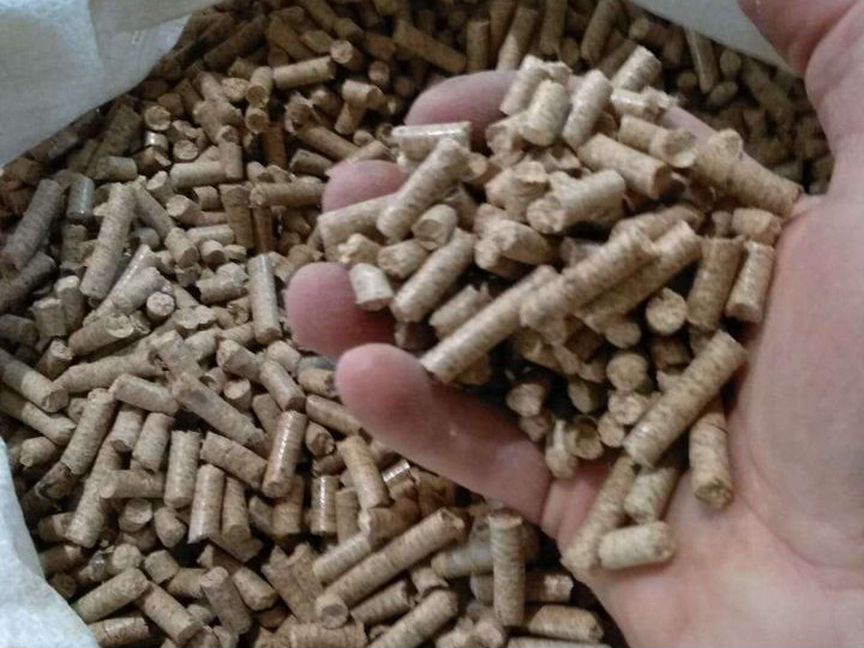 Кошачий наполнитель, доставка