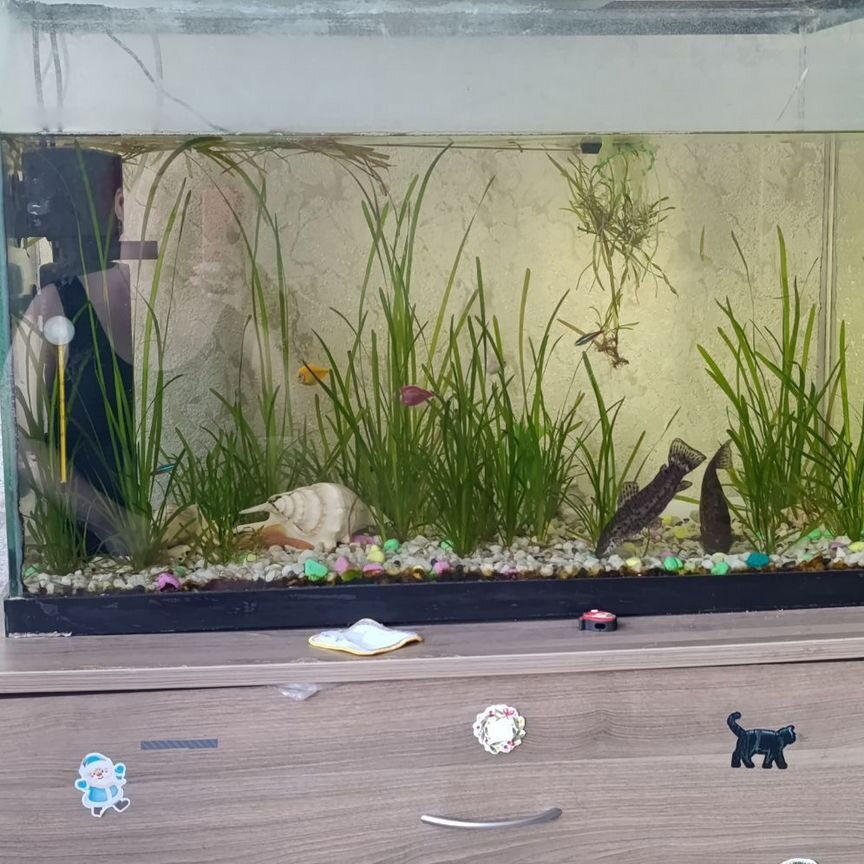 Аквариум 100 литров