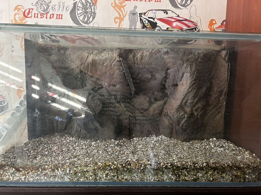 Аквариум на 250 литров