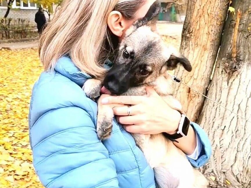 Мила, 4.5 мес, умная