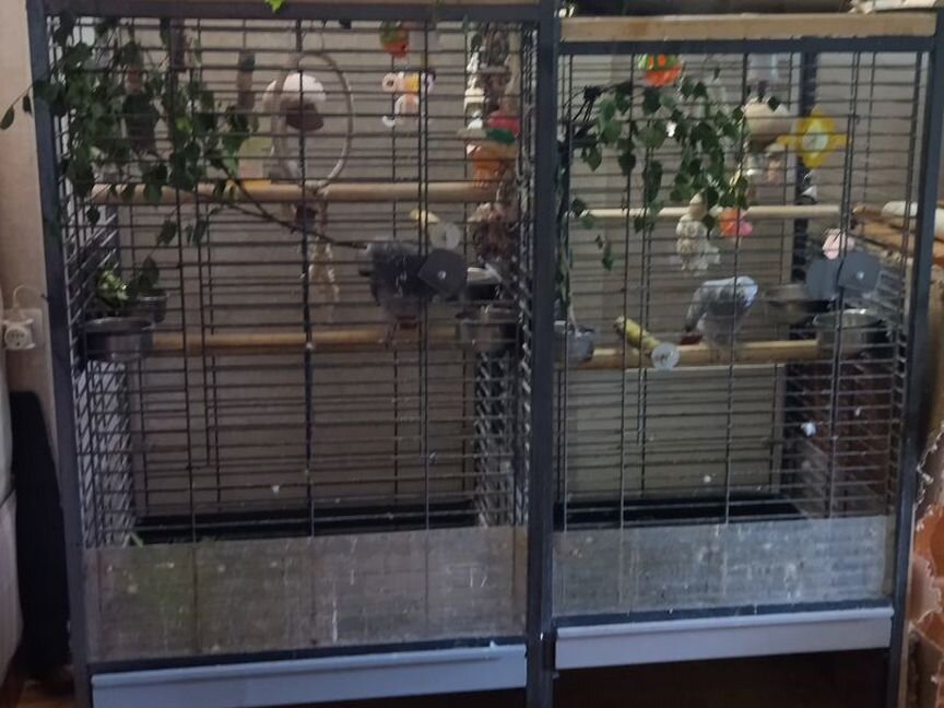 Клетки-вольер,кормушки для птиц