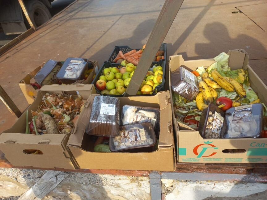 Корм животным