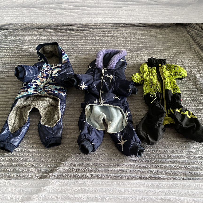 Одежда для собак