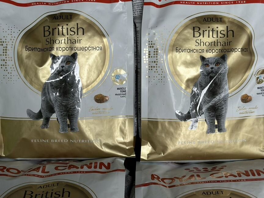 Royal canin british shorthair