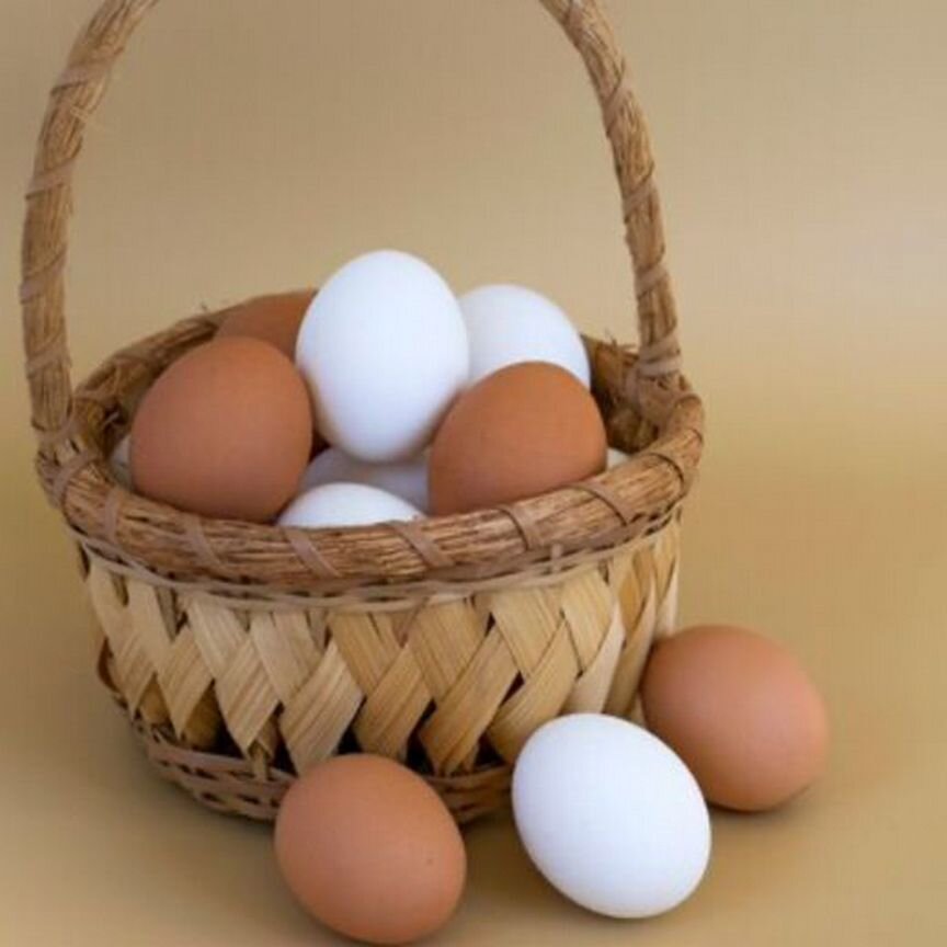Домашние куриные яйца