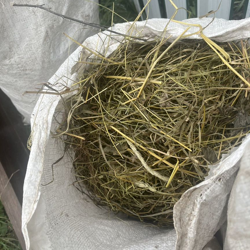 Сено для подстилки 8 мешков