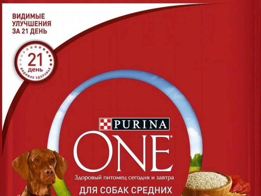 Корм для собак