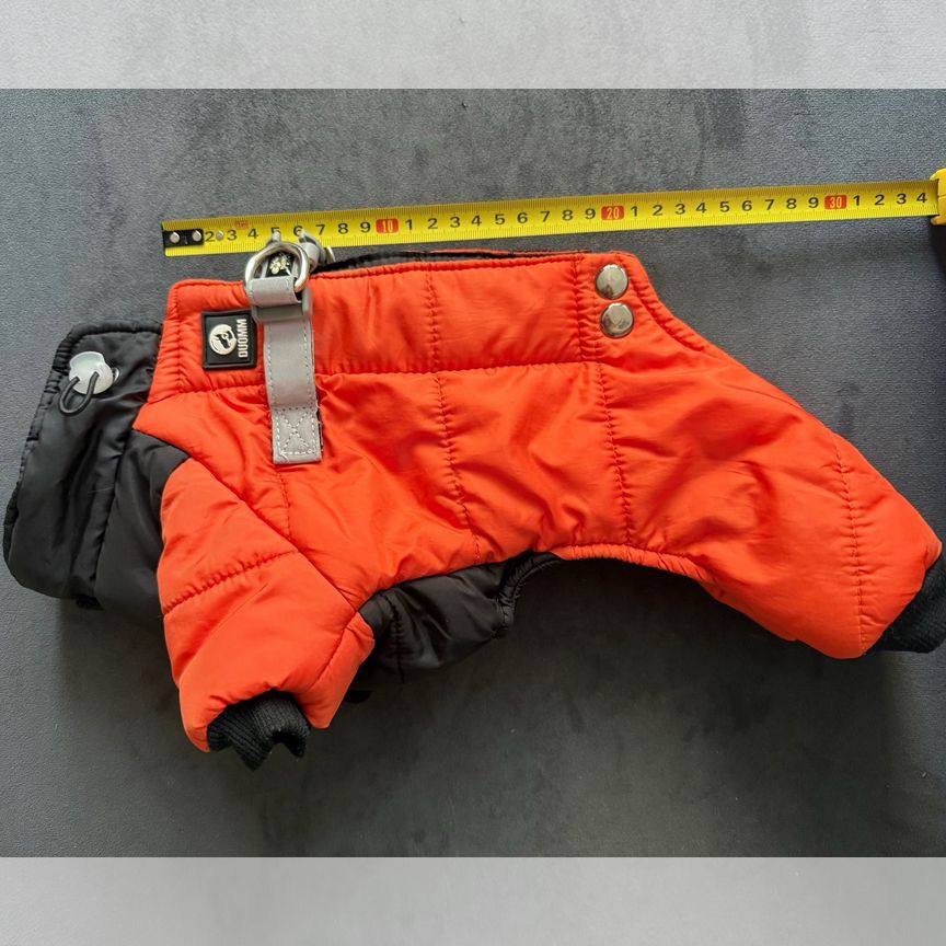 Одежда для собак