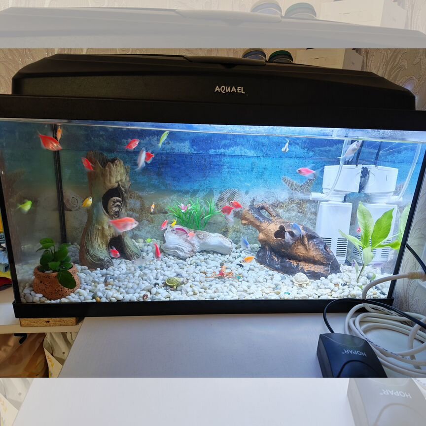 Аквариум