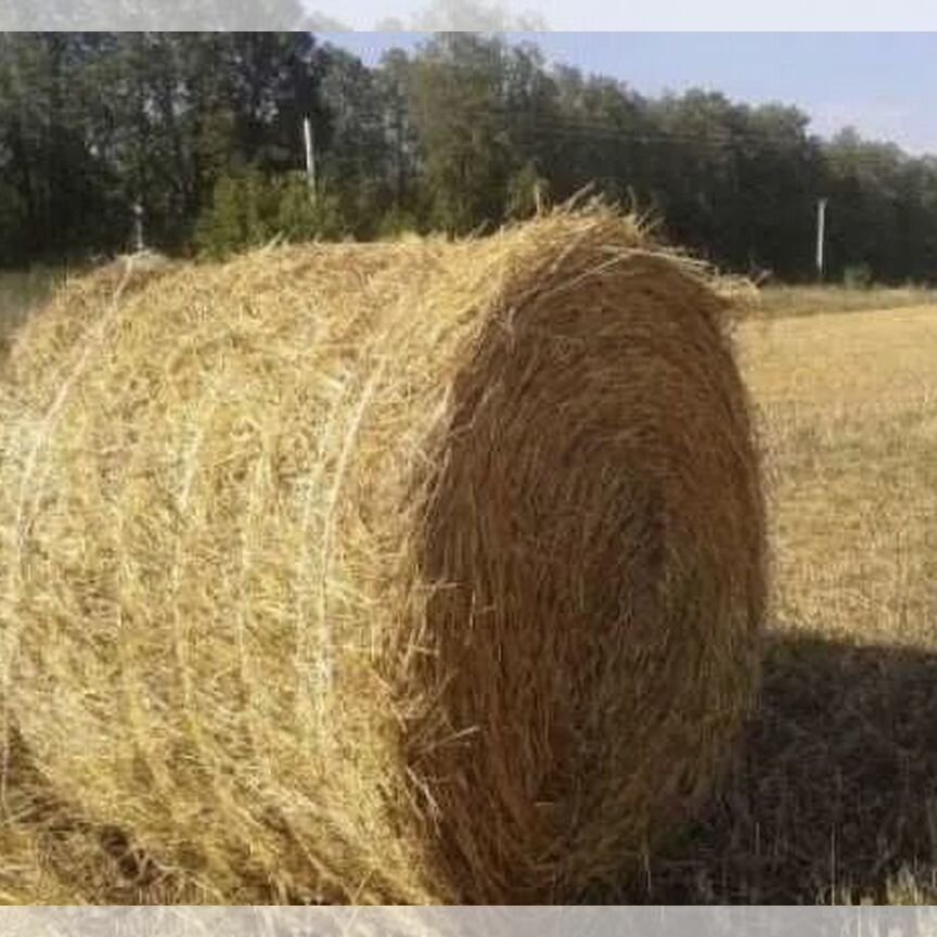 Солома в рулонах