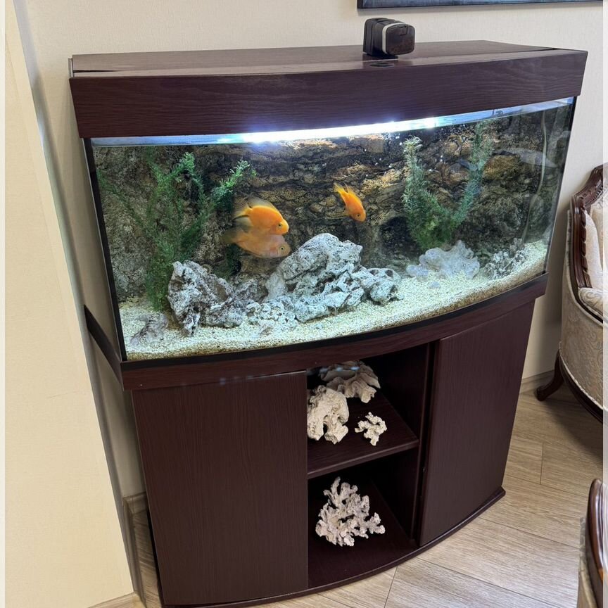 Аквариум с рыбками самовывоз