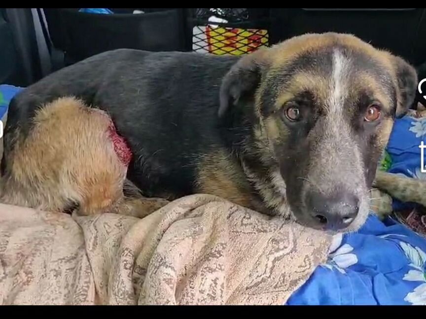 Люди будьте милосерны