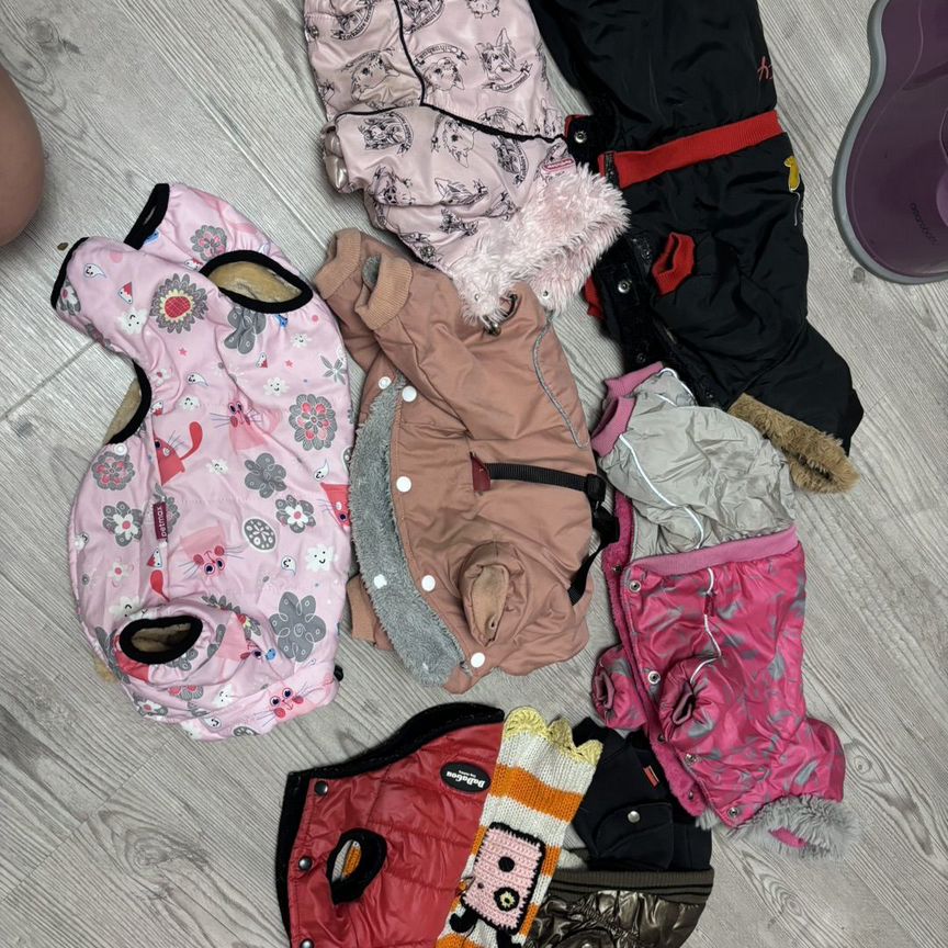 Одежда для маленьких пород собак