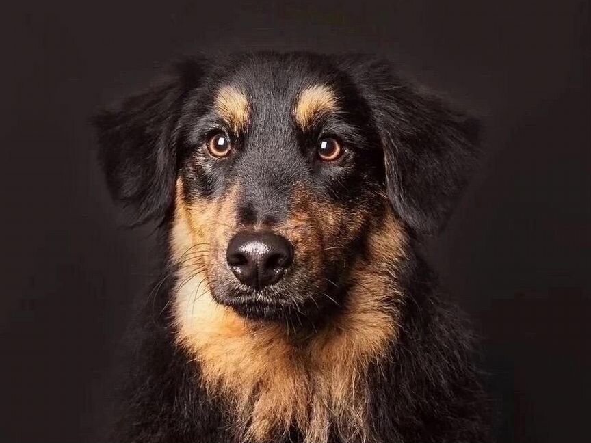 Баффи