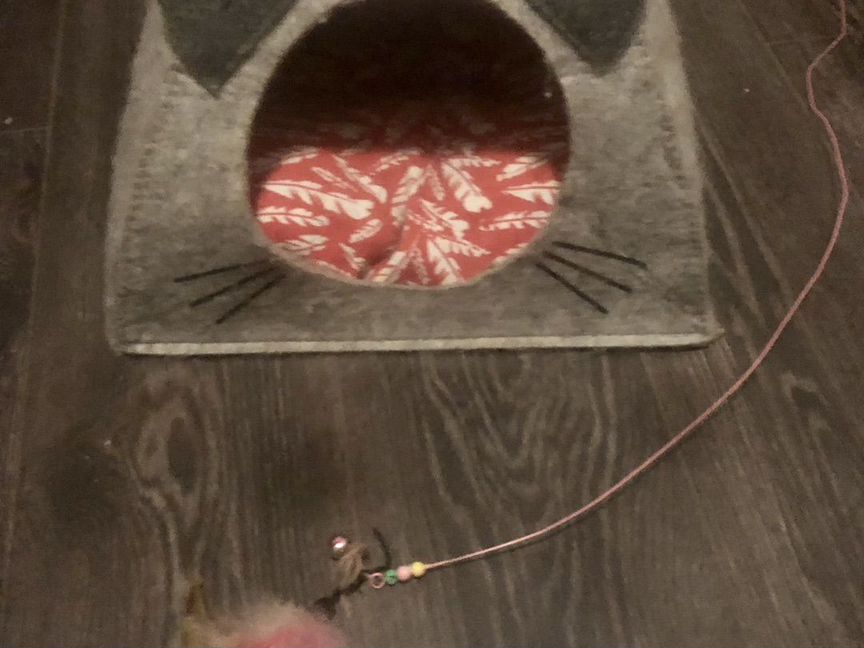 Домик для кошки