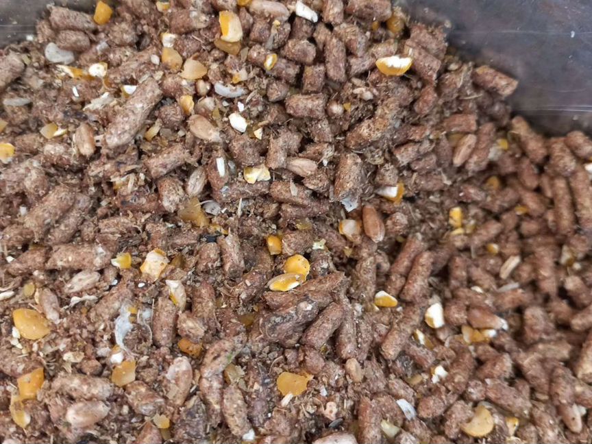 Комбикорм Жирный, Несушка фермерский,Пшеница