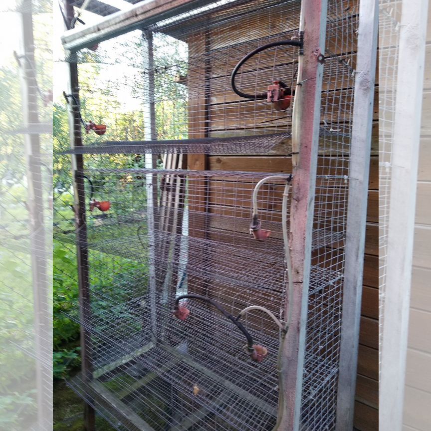 Клетка для перепелов