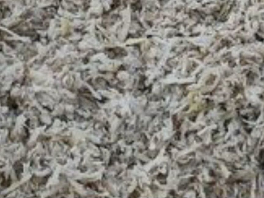 Жом свекольный