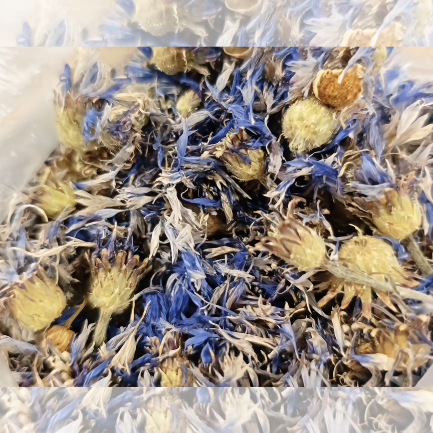 Травы сушеные