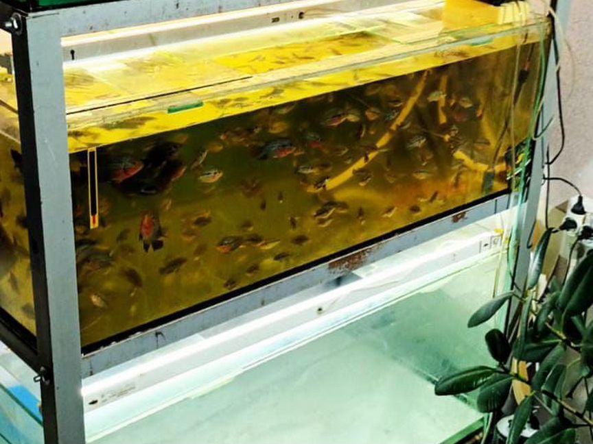 Аквариумная стойка