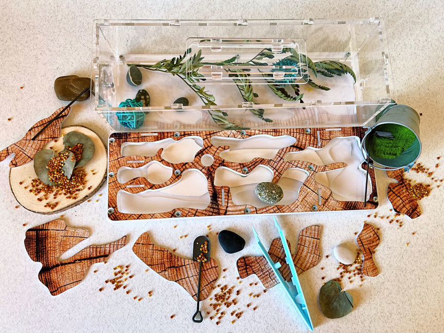 Муравьиная ферма под ключ Муравьи доставка за 1ч