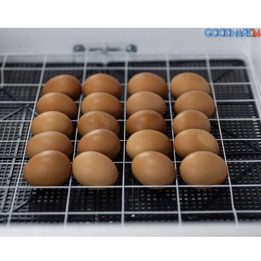 Инкубатор Несушка 63