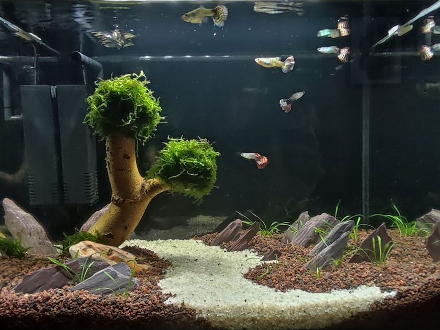 Аквариум, готовый аквариум на подставке