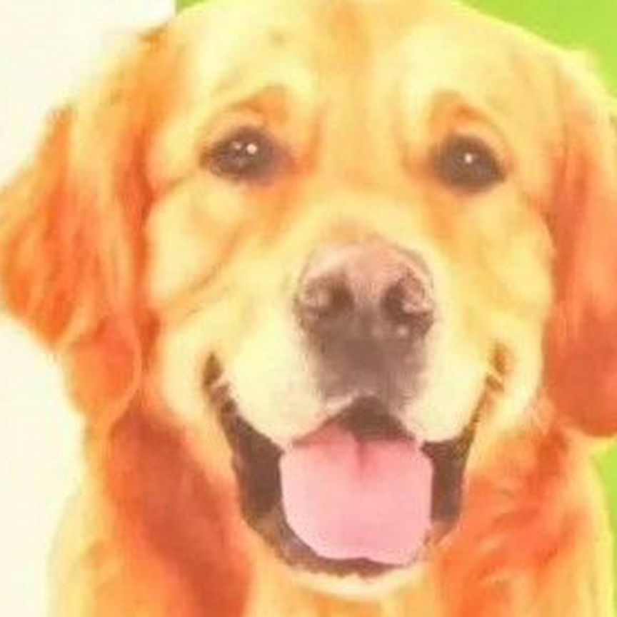 Для ухода за животными