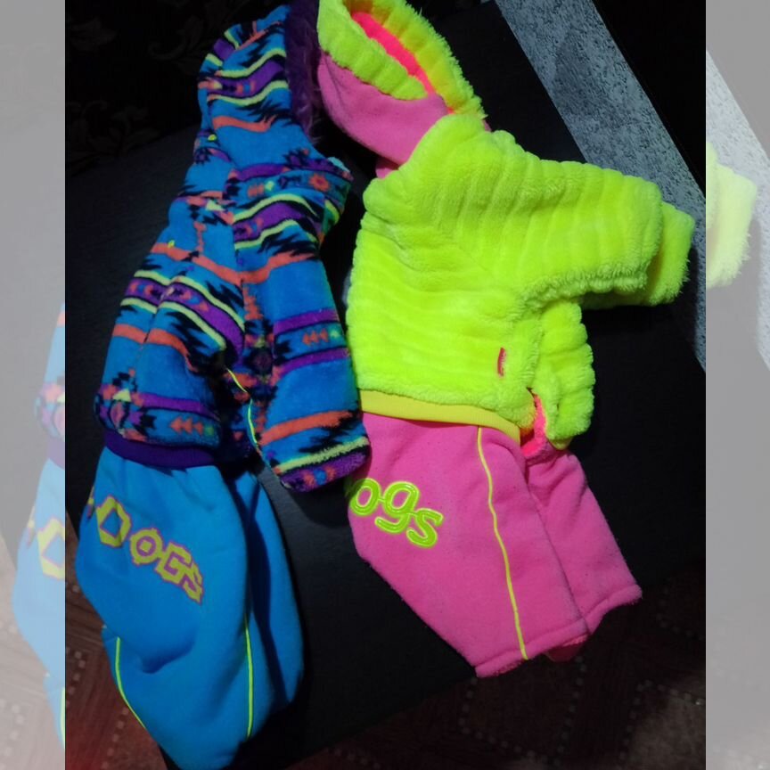 Одежда для собак мелких пород