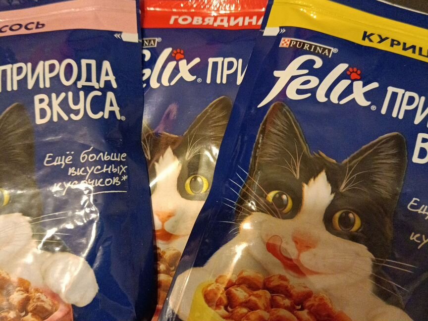 Корм для кошек и собак