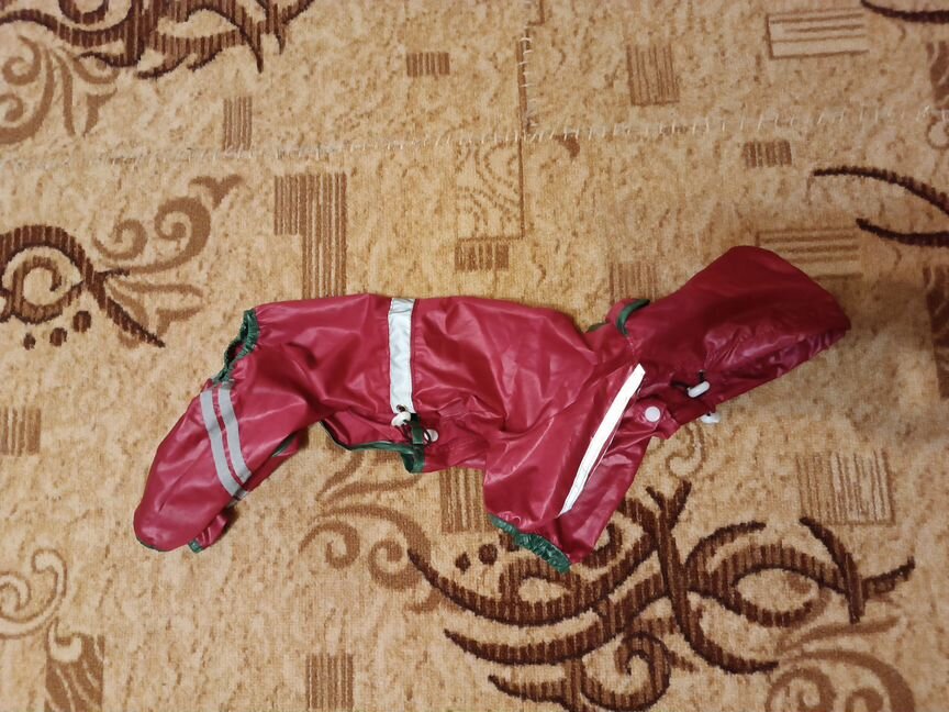 Одежда для собак мелких пород