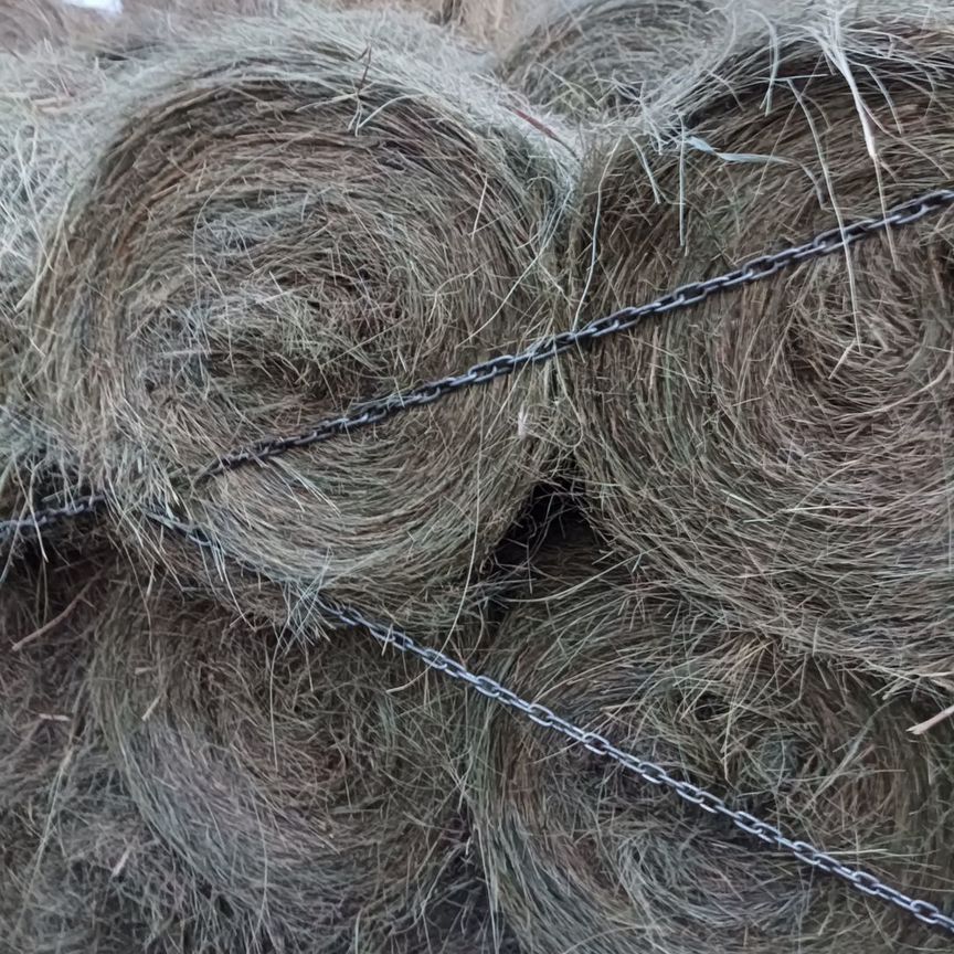 Сено в мини рулонах