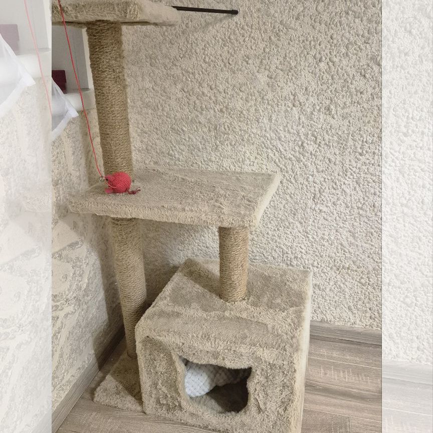 Когтеточка для кошек