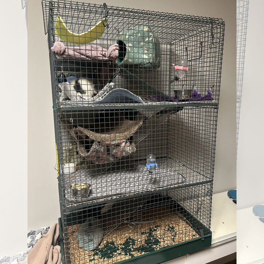 Клетка для грызунов дегу кроликов крыс морских с