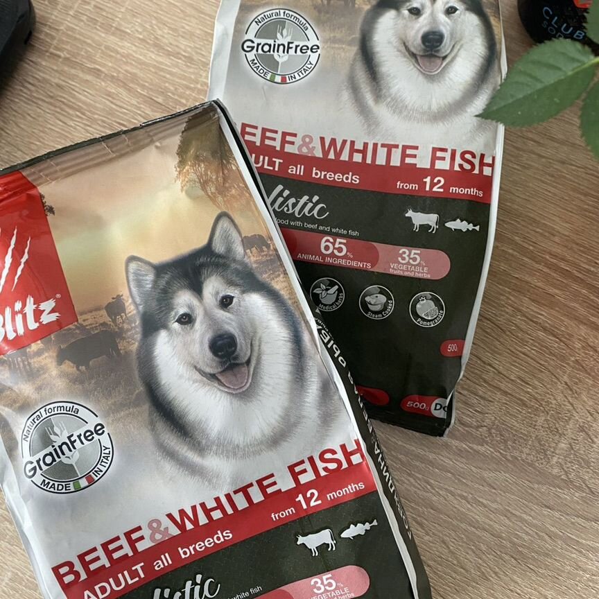 Корм для собак