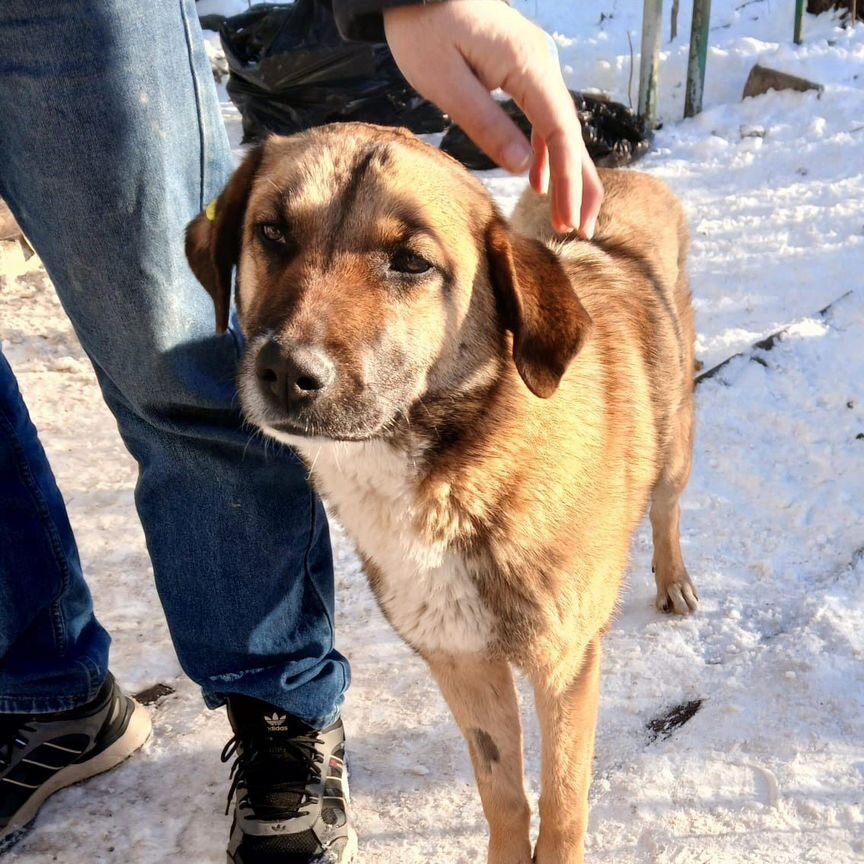 Стерильная девочка- сторож ищет работу и дом