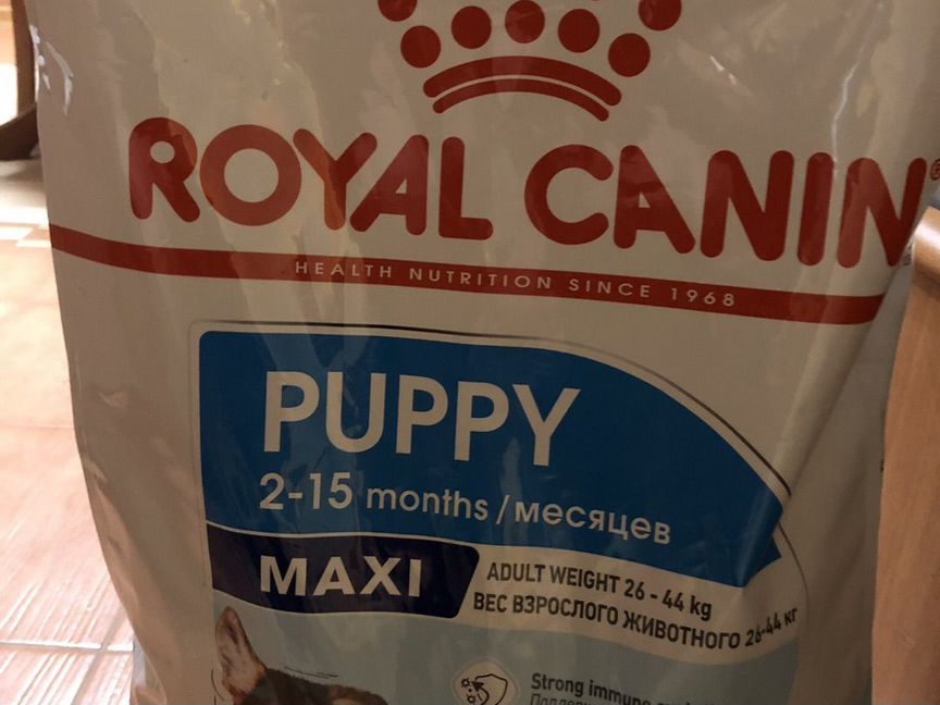 Роял канин макси паппи