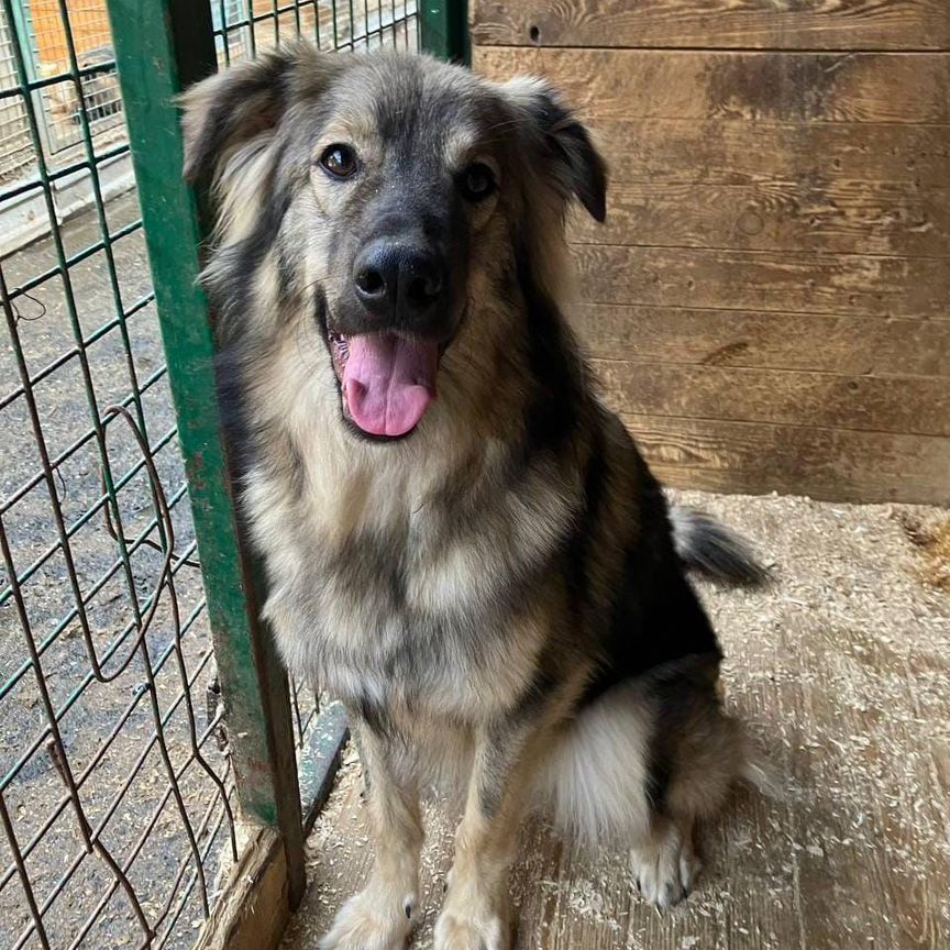 Герцогиня тоскует в приюте