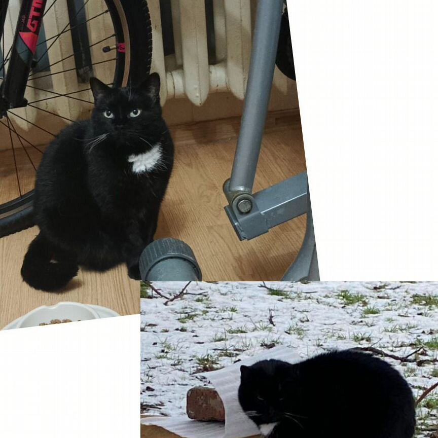 Меня никто не видит я ищу семью