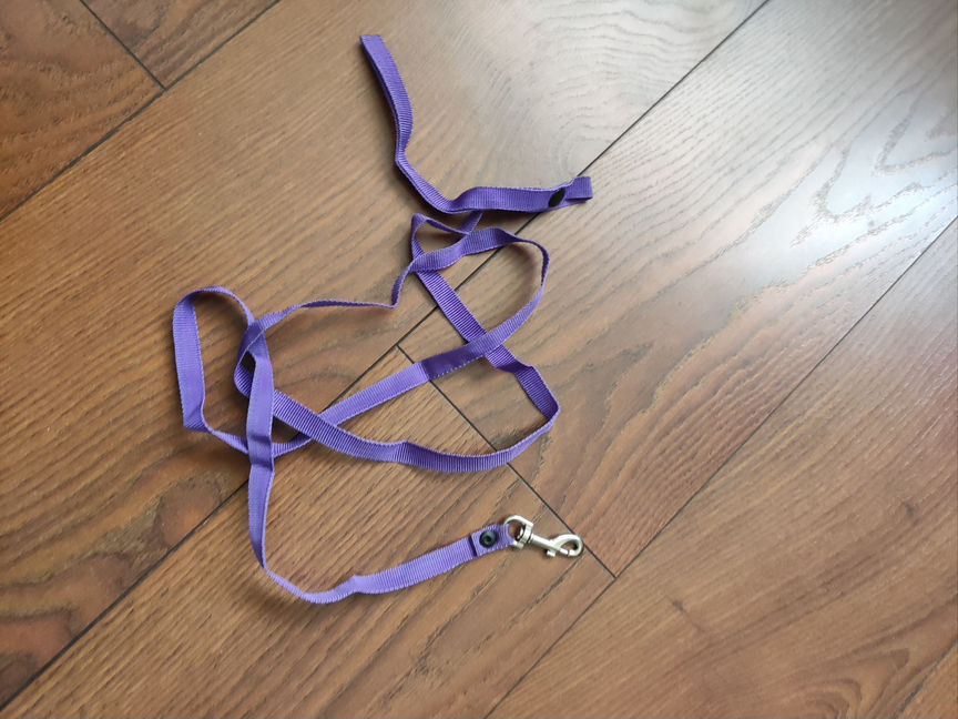 Поводок для собак или кошки