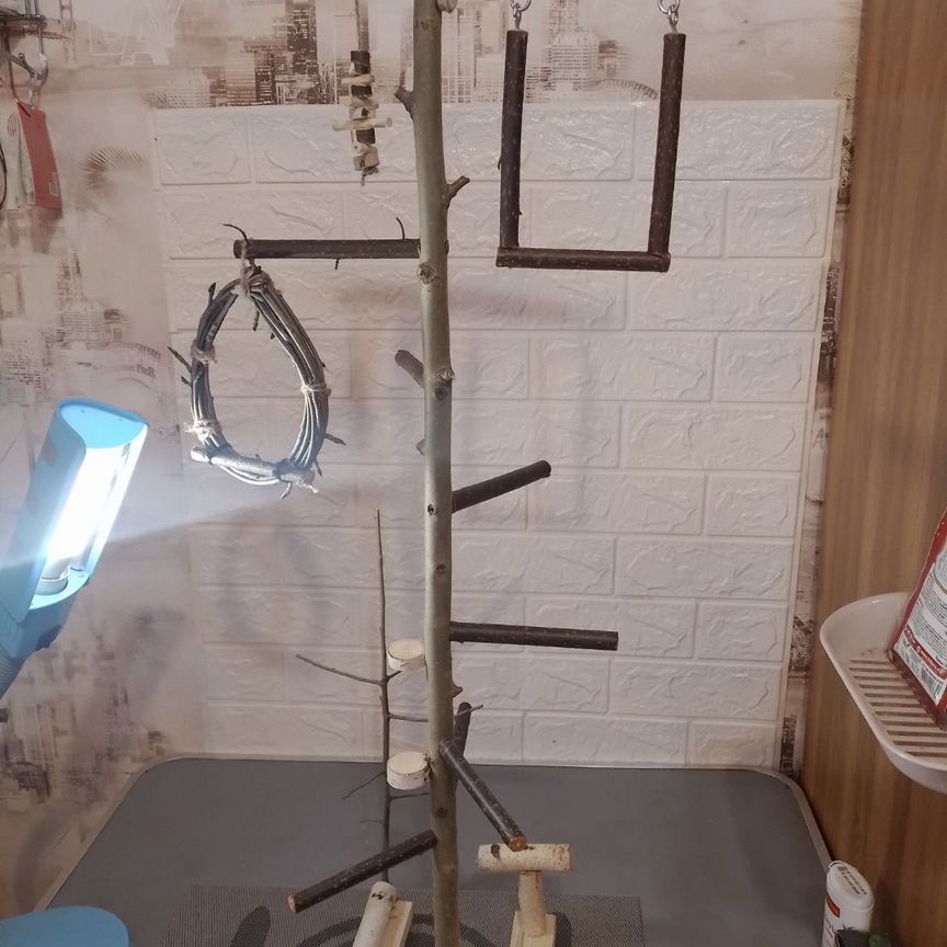 Стенд для попугая