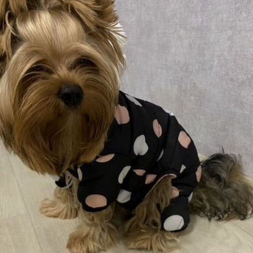Одежда для собак комбинезон