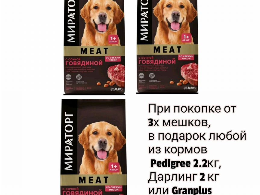 Акция Корм для собак