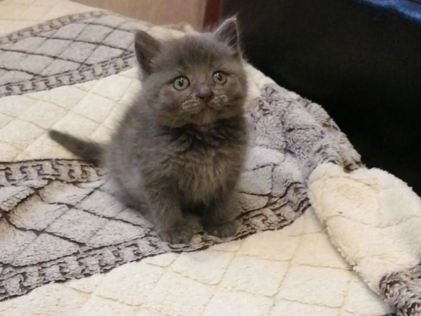 Малышка Руся в самые добрые ручки )