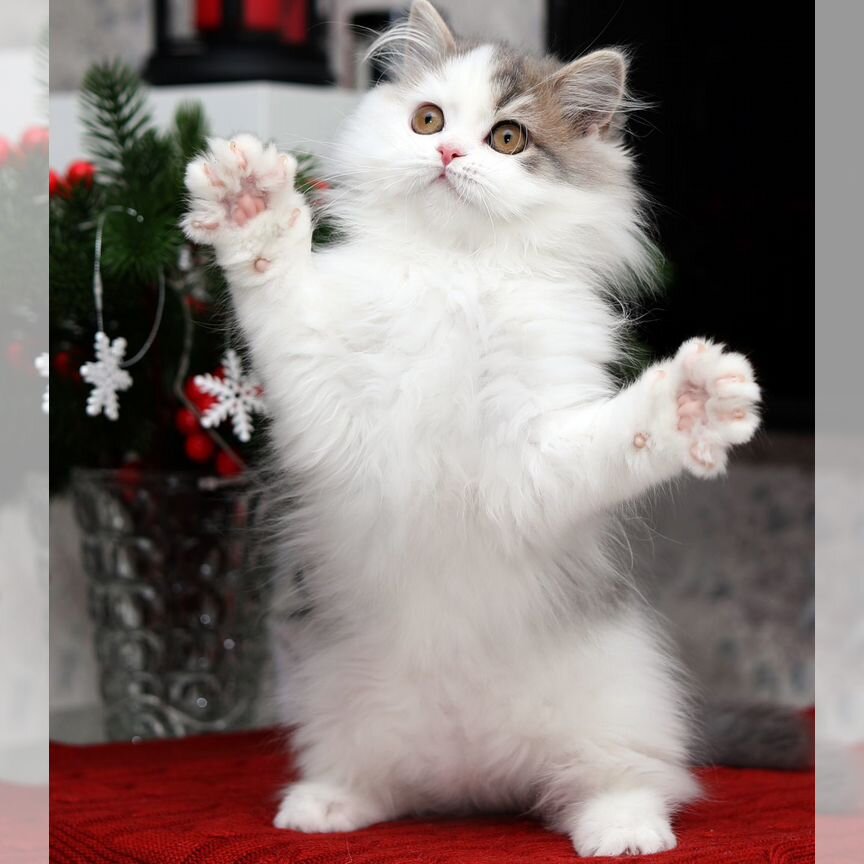 Очаровательная малышка