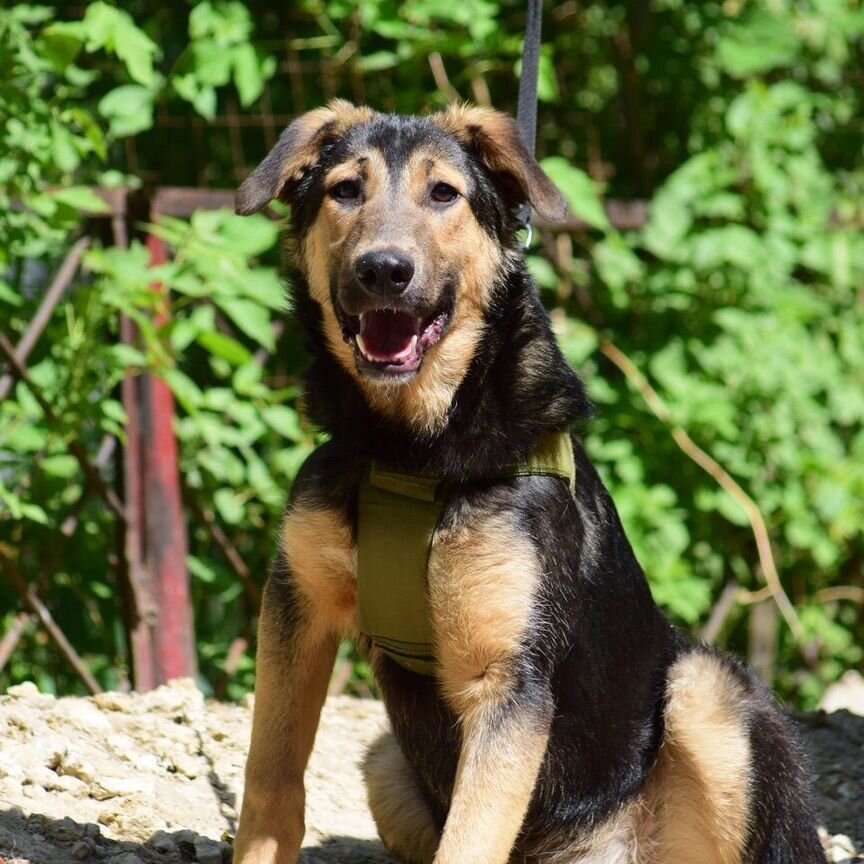 Лёне плохо в приюте