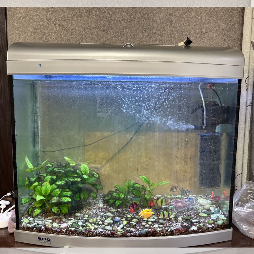 Аквариум с рыбками